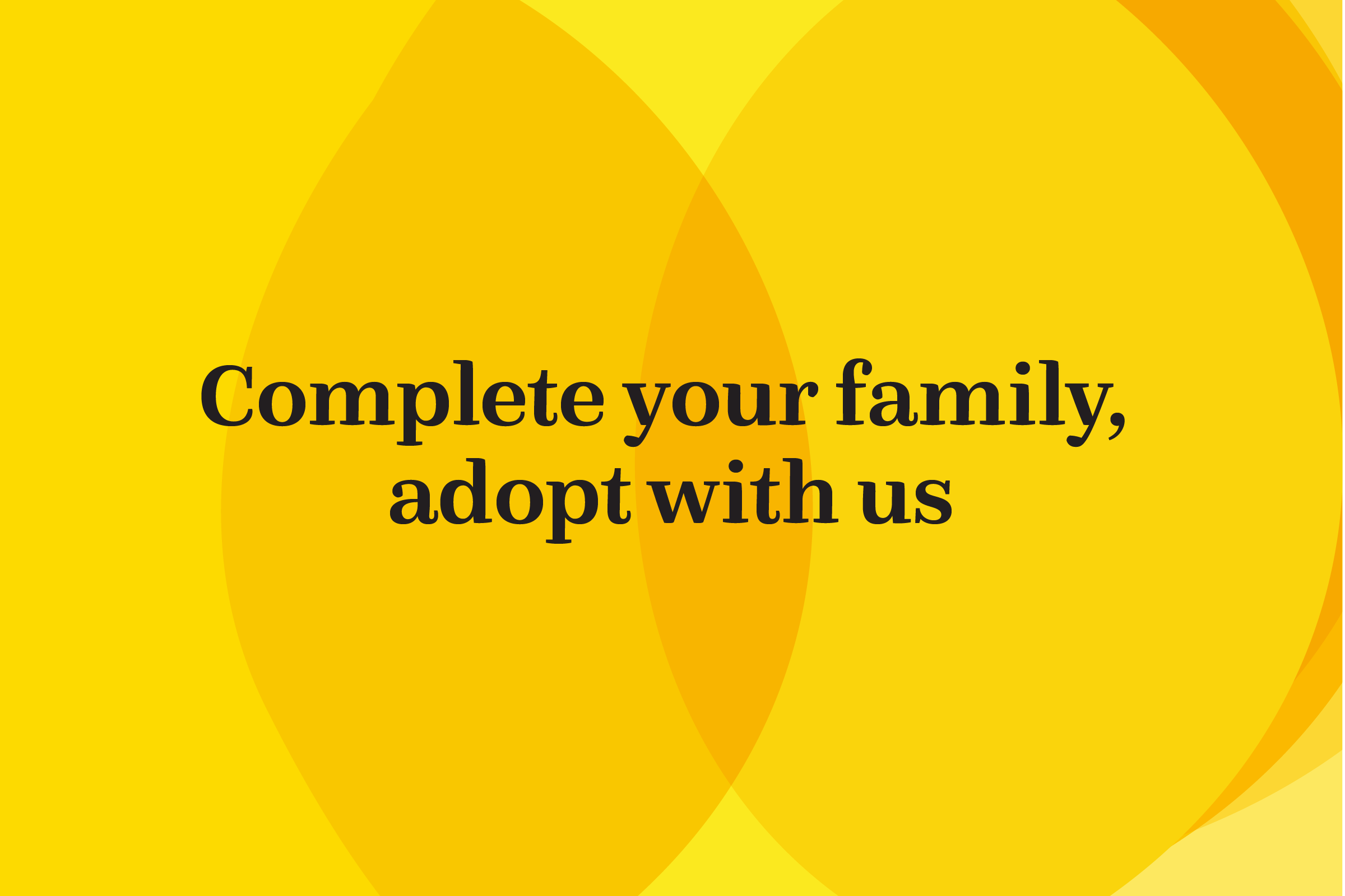 Adoption Counts | Creative Concern